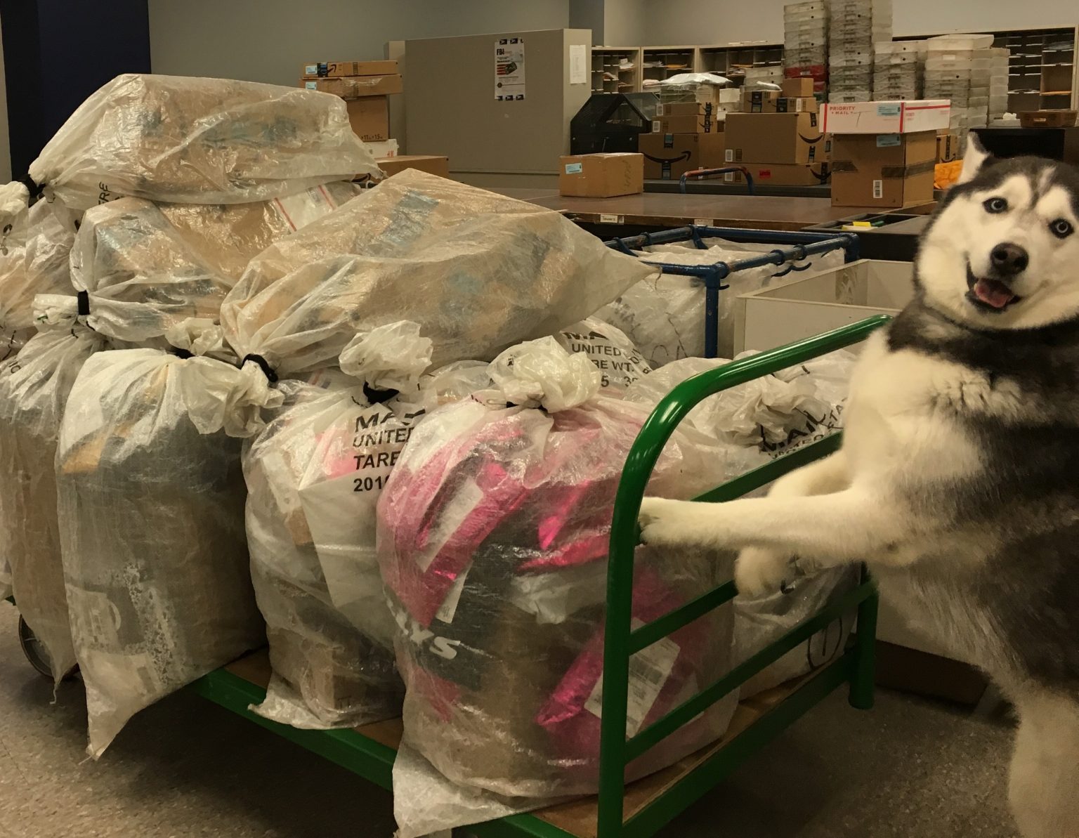 Mail and Package Processing at UConn | Student Mail Services